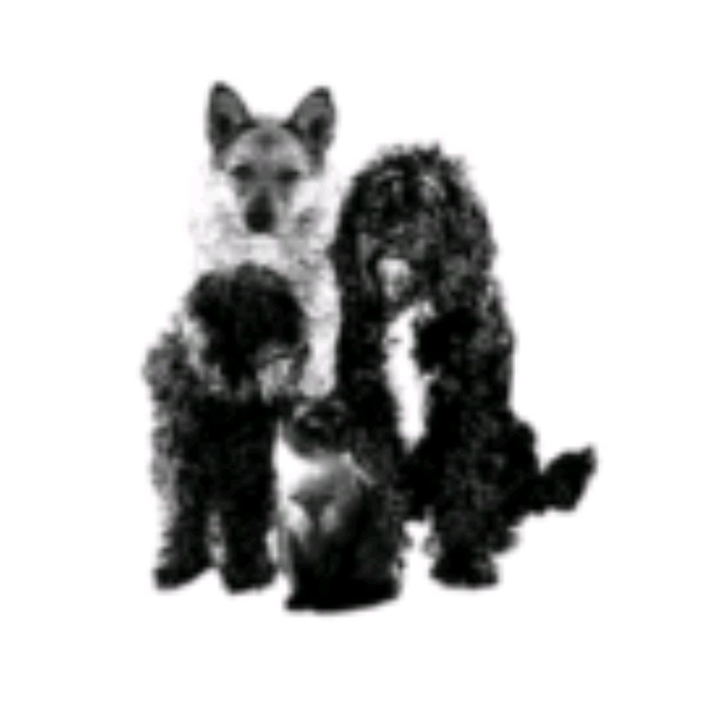 Иконка канала thecrazyhousediary