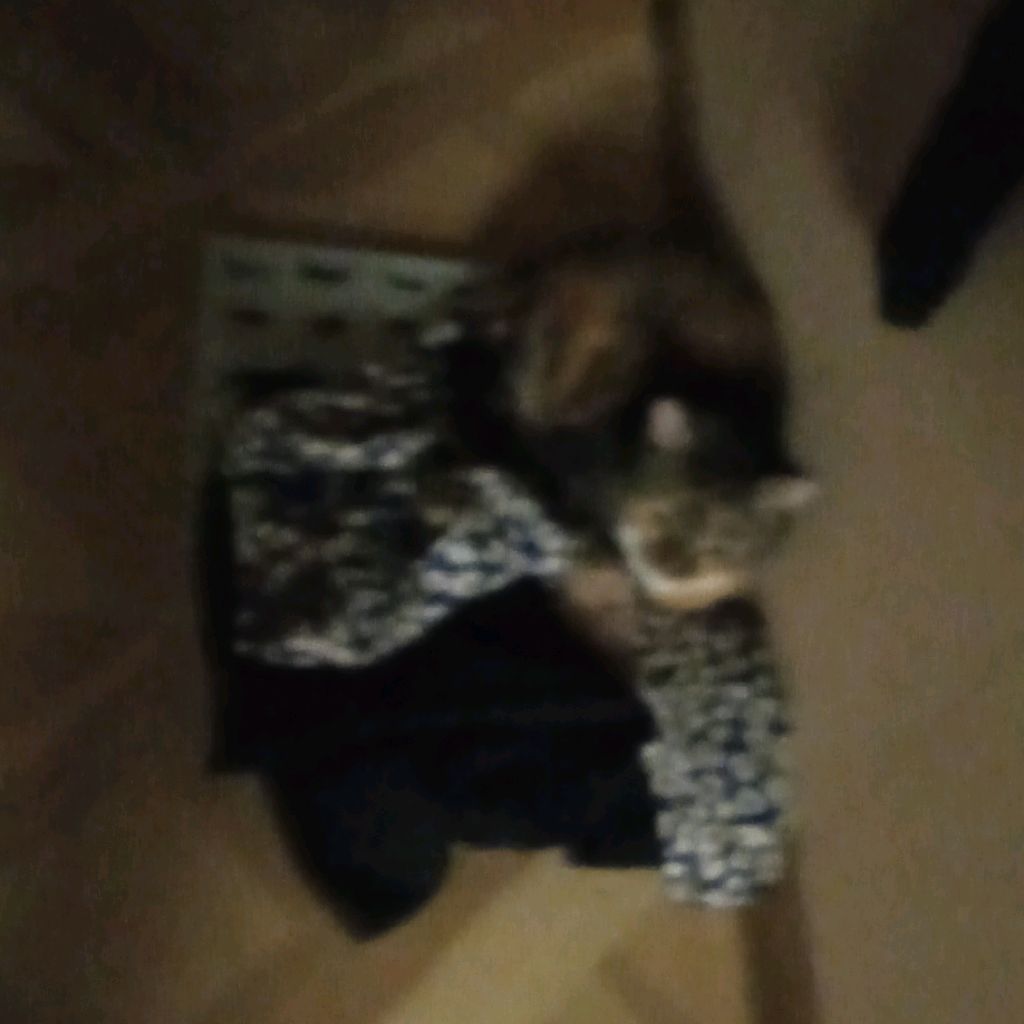 Иконка канала Wizzik1