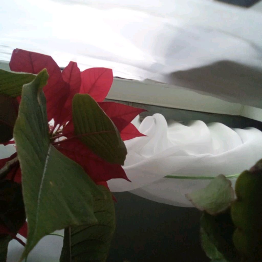 Иконка канала {•Мир бисероплетения•}