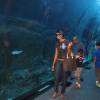 Иконка канала Каридад Енгонга