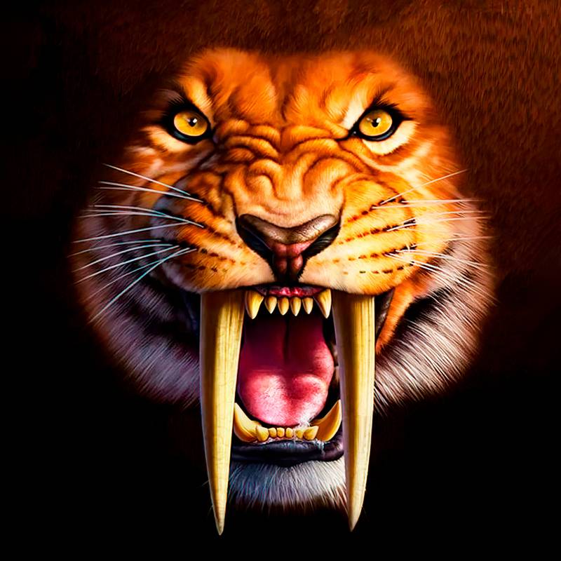 Иконка канала Животные Планеты