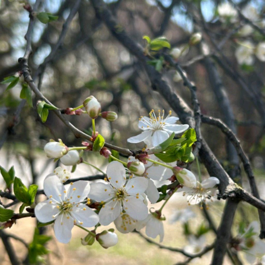 Иконка канала Малина Климентина