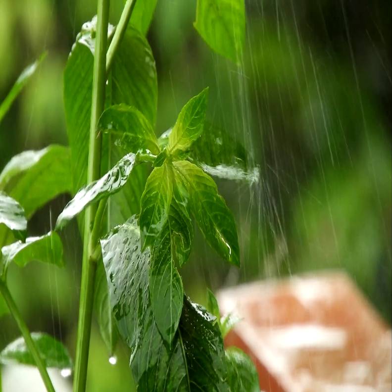 Иконка канала Релакс Life