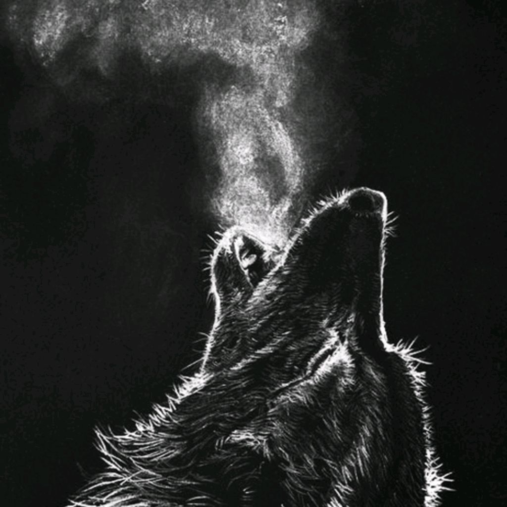 Иконка канала Black Wolf