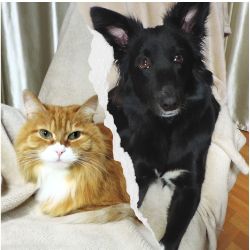 Иконка канала Персик и Айка