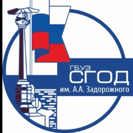 Иконка канала ГБУЗ С «СГОД им.А.А.Задорожного»