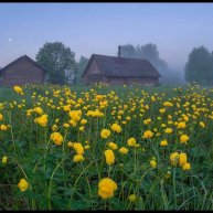 Иконка канала Алтайская деревня