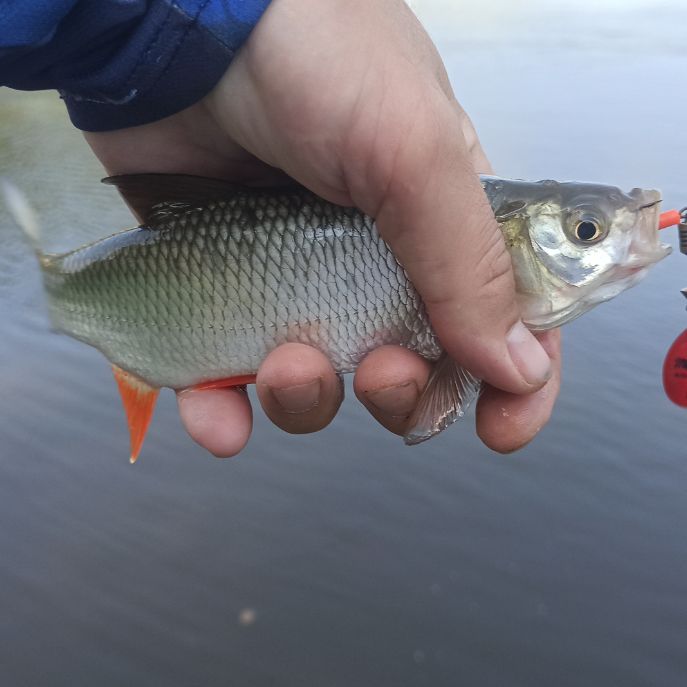 Иконка канала Рыбалка в Поволжье 34