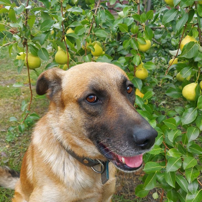 Иконка канала Fedor