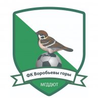 Иконка канала ДЮСШ "Воробьевы горы"