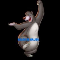 Иконка канала Baloo in Malibu