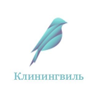 Иконка канала Клинингвиль