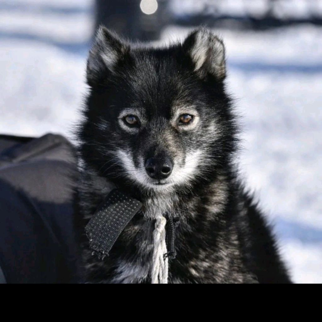 Иконка канала Павел