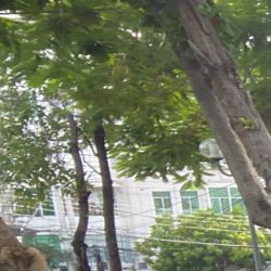 Иконка канала Путешествия Авантюристки