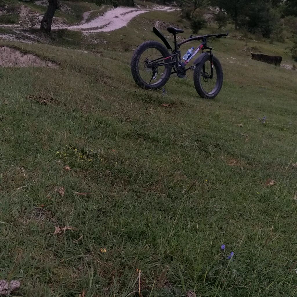 Иконка канала природа Дагестана