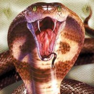 Иконка канала змеи