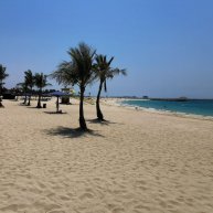 Иконка канала rdtsc