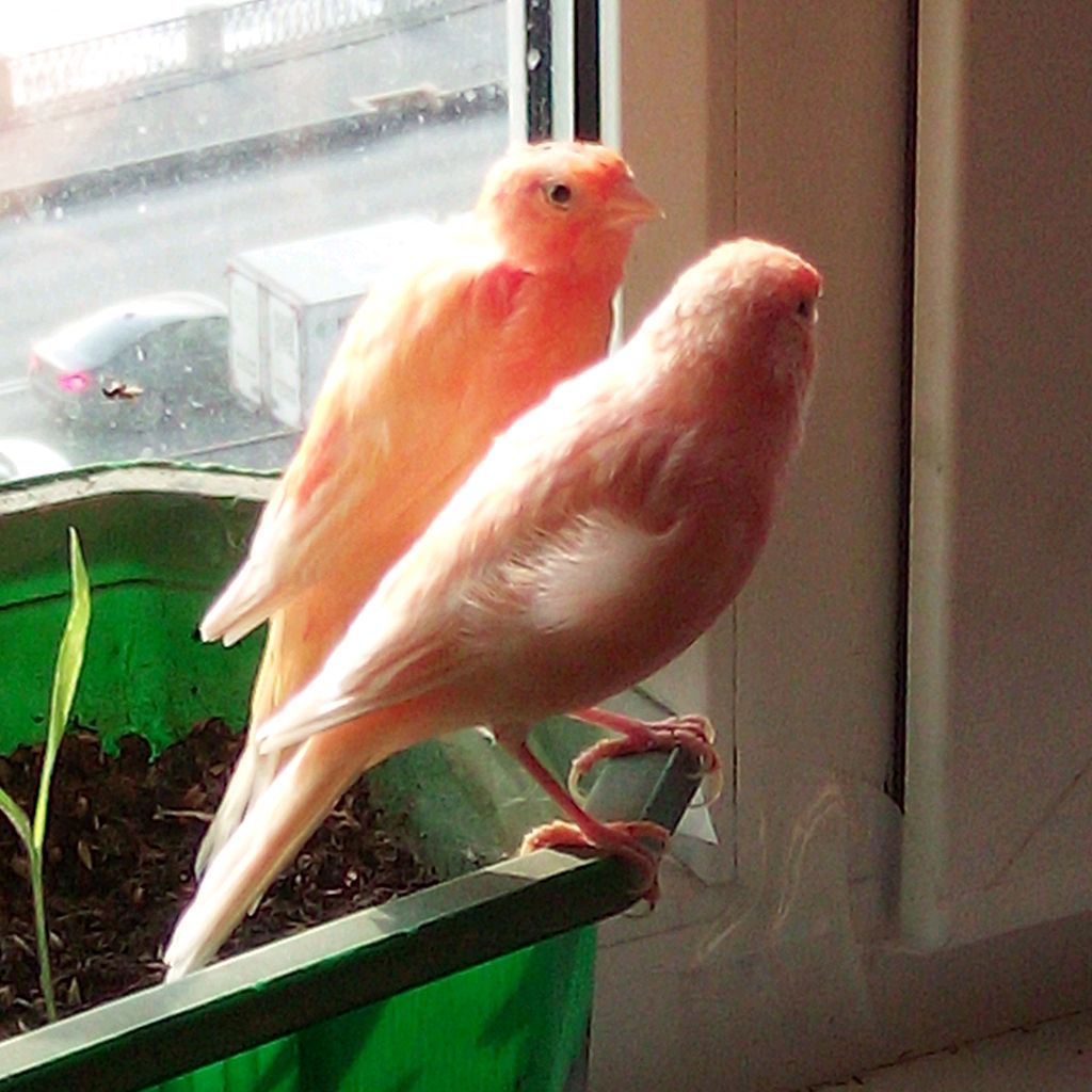 Иконка канала rutube_account_19621830