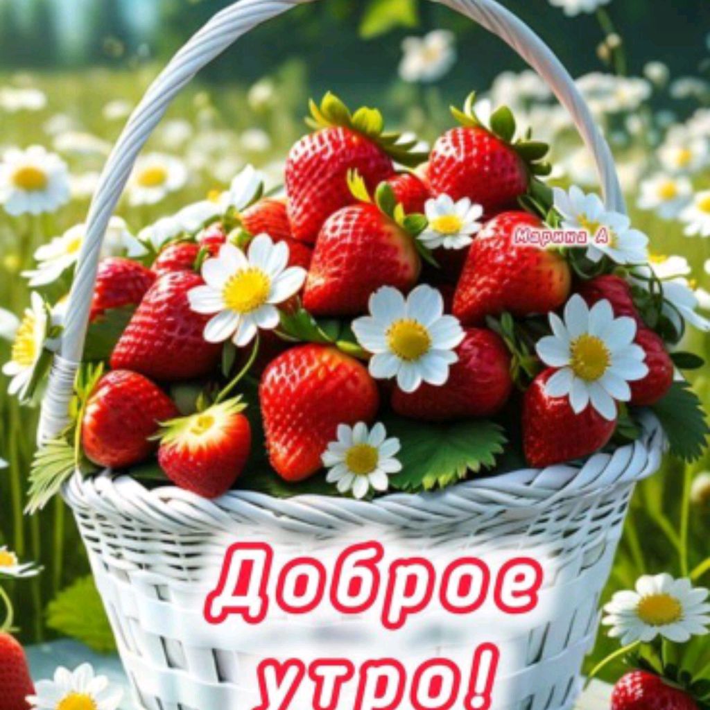 Иконка канала Наталья#ПроРозы#Белгород