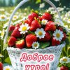 Иконка канала Наталья#ПроРозы#Белгород