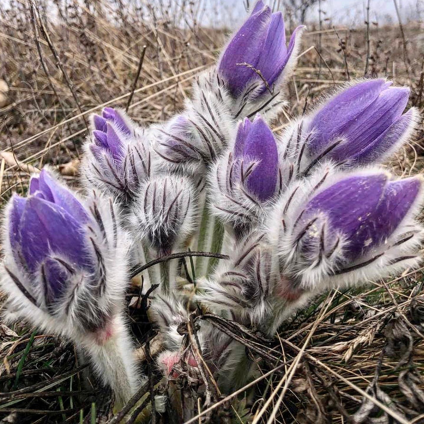 Иконка канала Алушта и Крым Экскурсии/Джип Туры