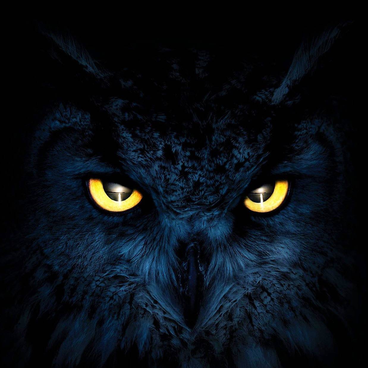 Иконка канала ЗооТоп