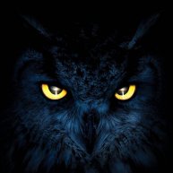 Иконка канала ЗооТоп