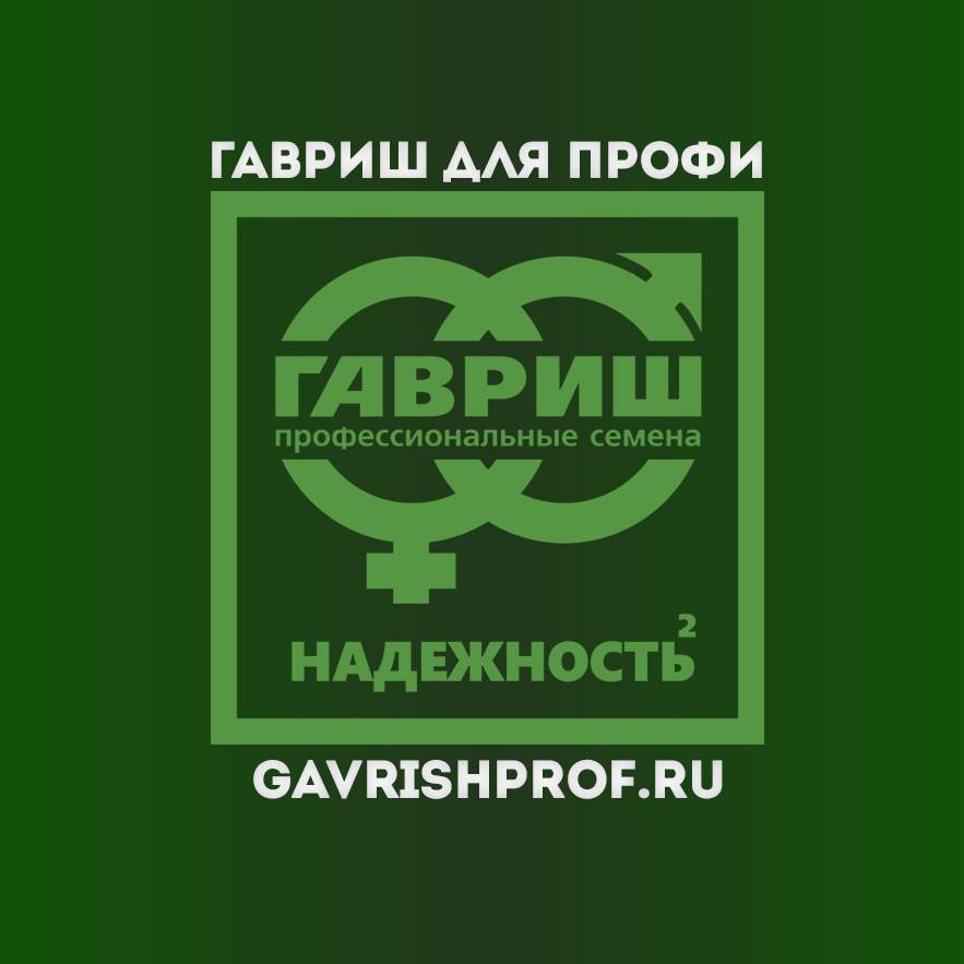 Иконка канала gavrishprof_ru