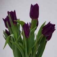 Иконка канала channel30771995