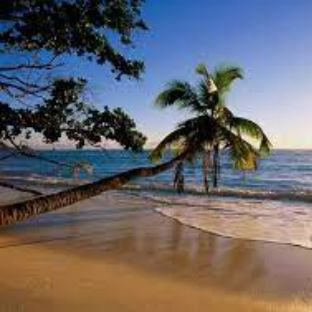 Иконка канала Natalya Singh Raizada