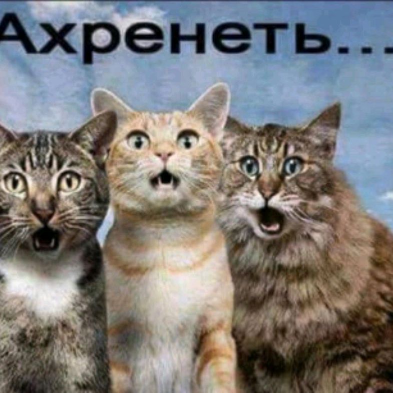 Иконка канала Жизни прекрасно