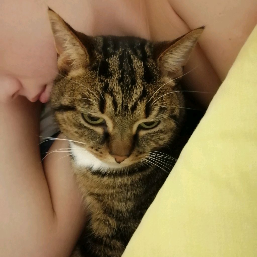 Иконка канала Yuliya-0371