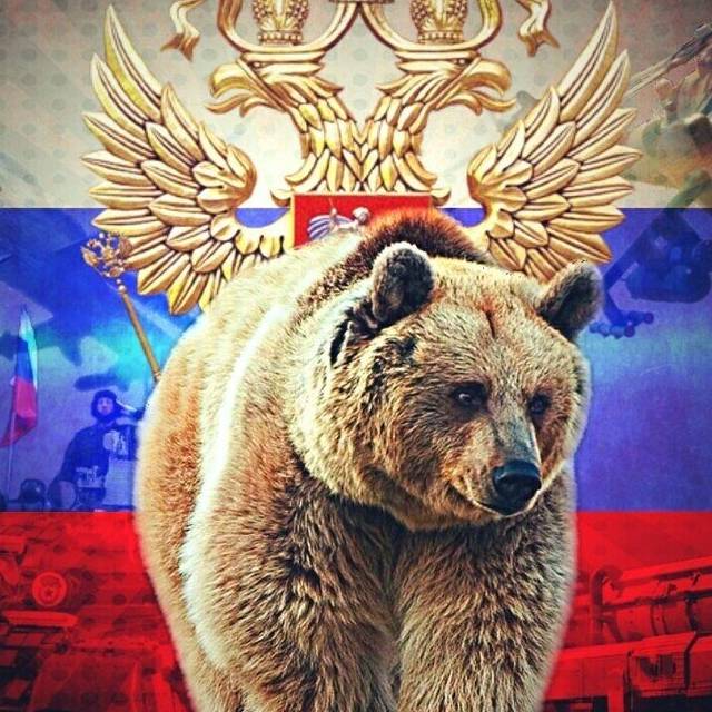 Иконка канала Владимир Владимирович