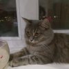 Иконка канала Tika