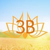 Иконка канала Бакти Врикша Россия