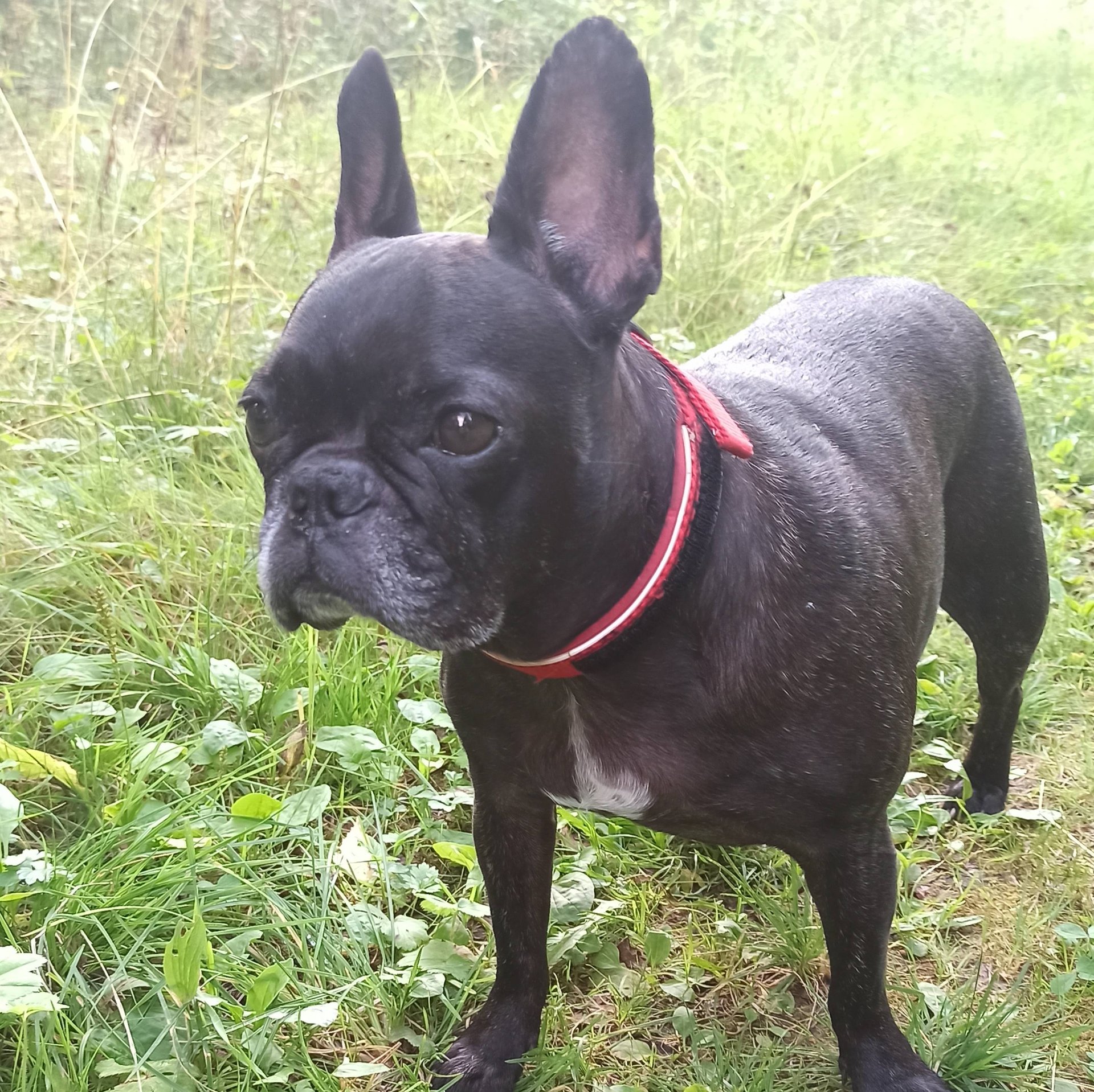 Иконка канала Добрый День