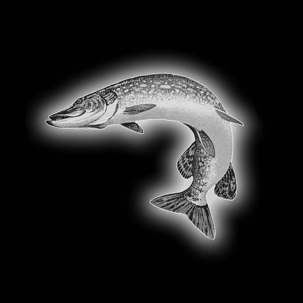 Иконка канала По щучьему велению и в поисках сокровищ!