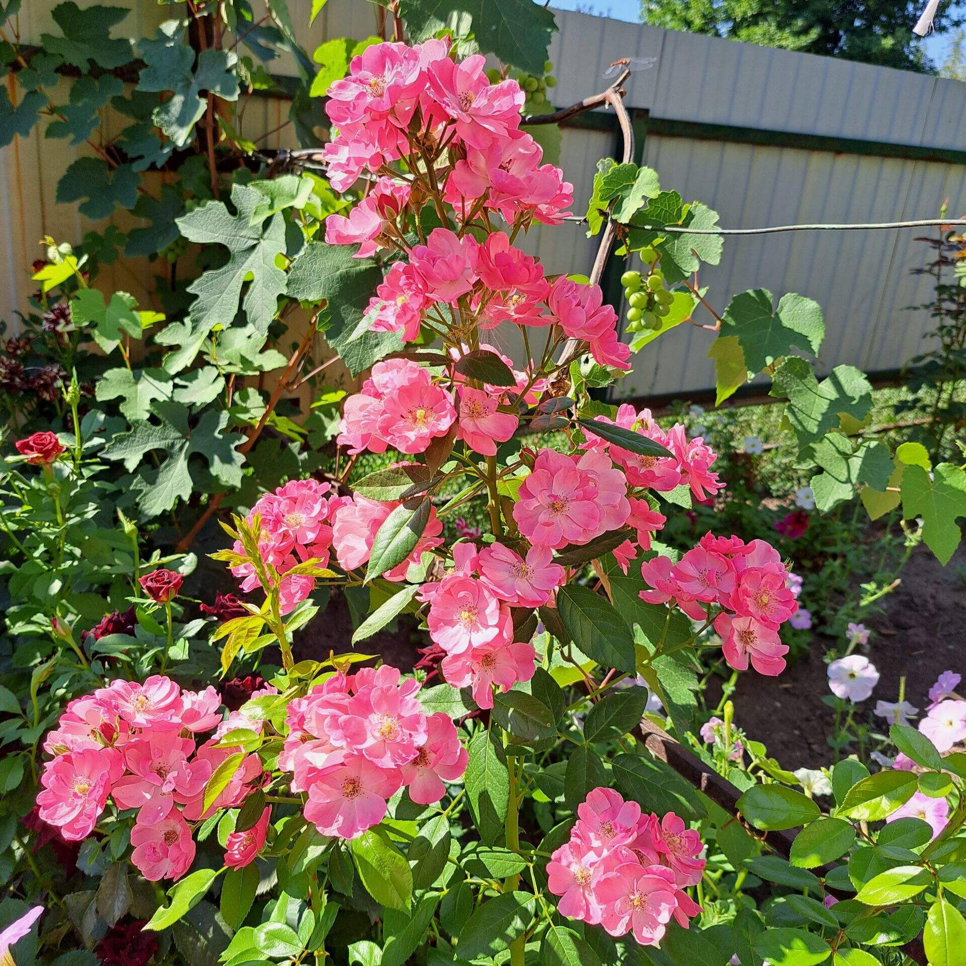 Иконка канала Всё Просто