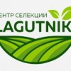 Иконка канала Селекцентр Лагутники
