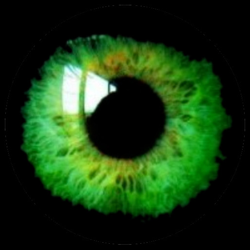 Иконка канала Кот Нормуль