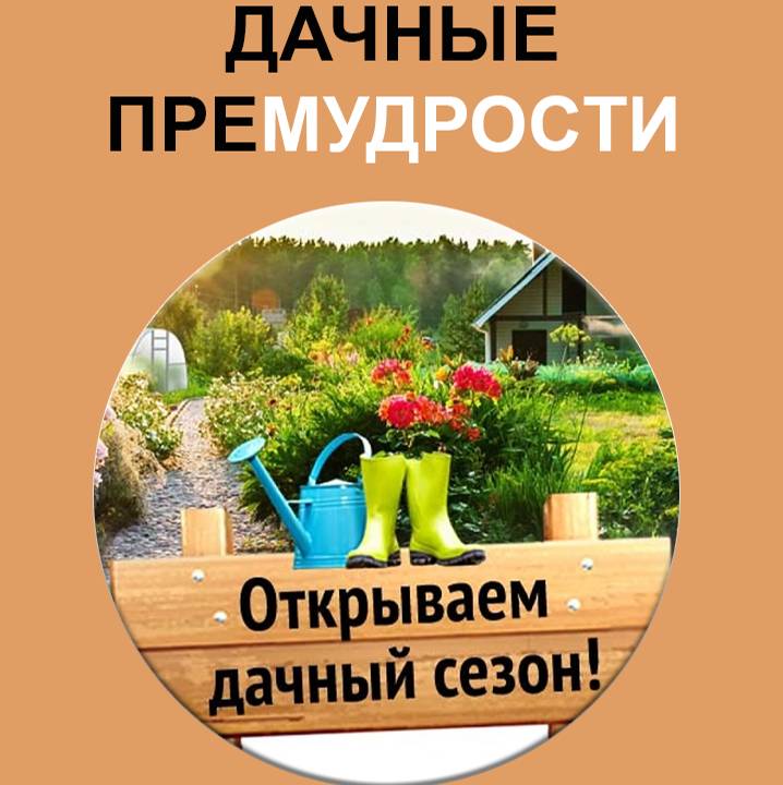 Иконка канала dacha_mudro