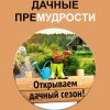 Иконка канала dacha_mudro