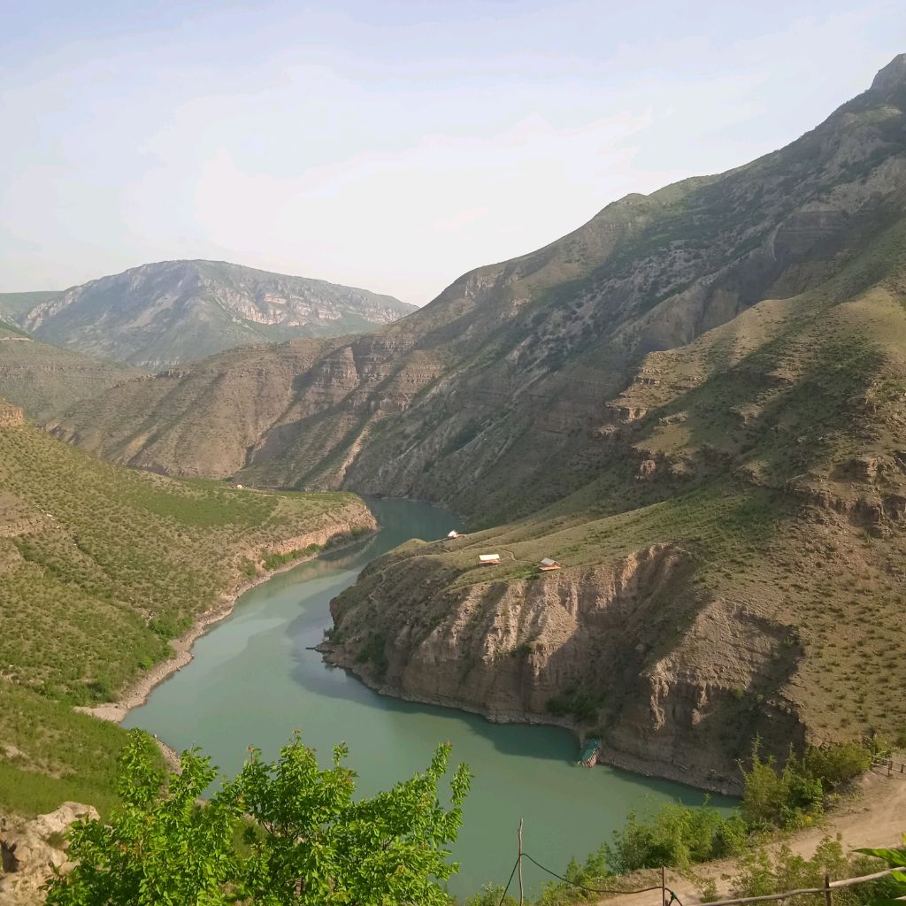 Иконка канала tool8lion