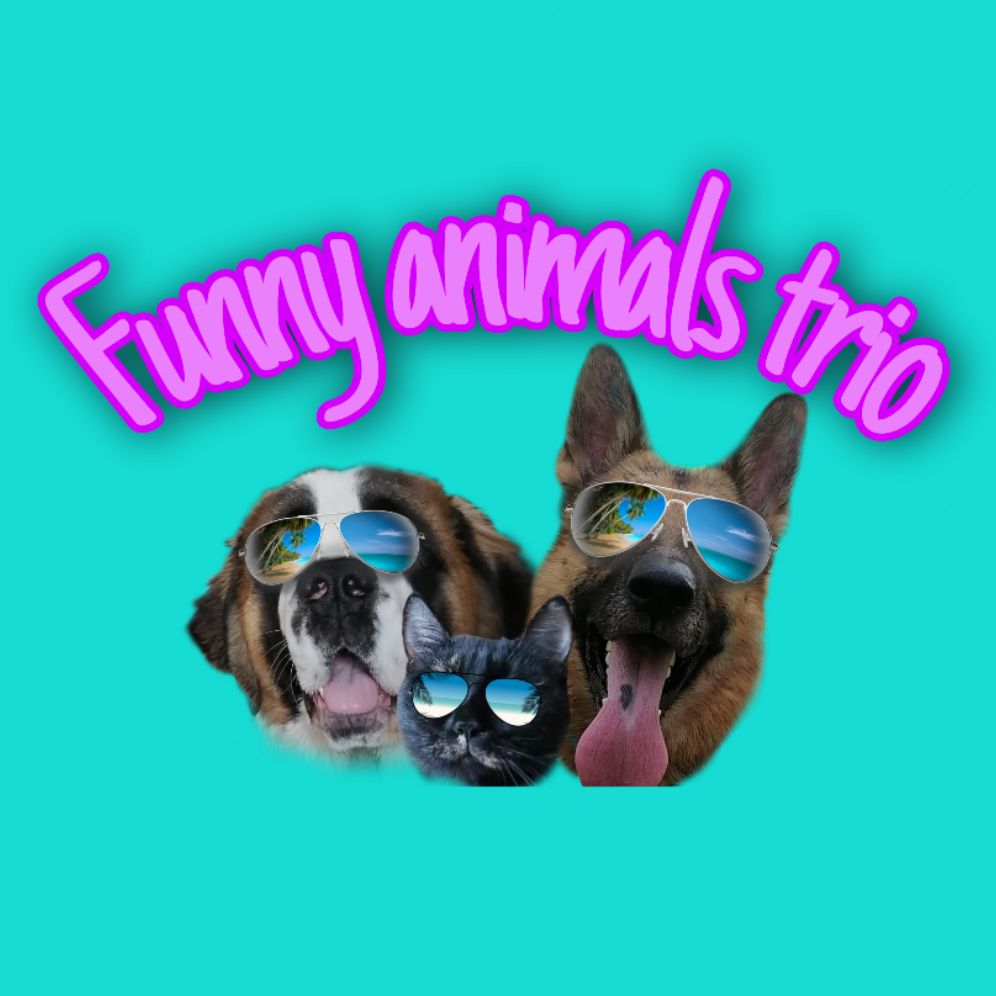 Иконка канала Funny animals trio