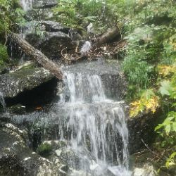 Иконка канала Дикий край: Туризм, рыбалка, охота