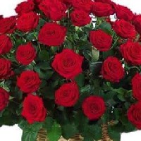 Иконка канала Blue Moon