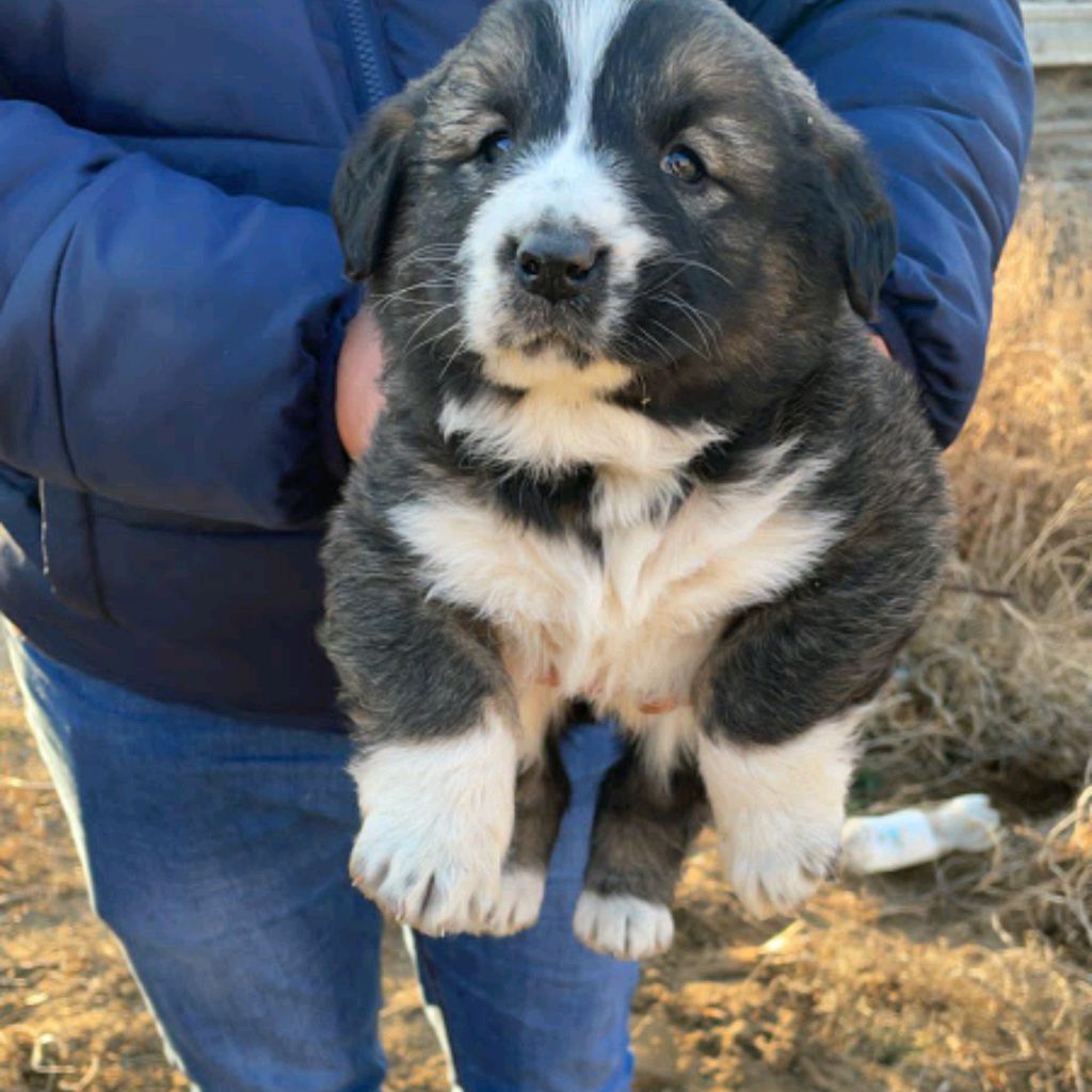 Иконка канала Деревня в городе.