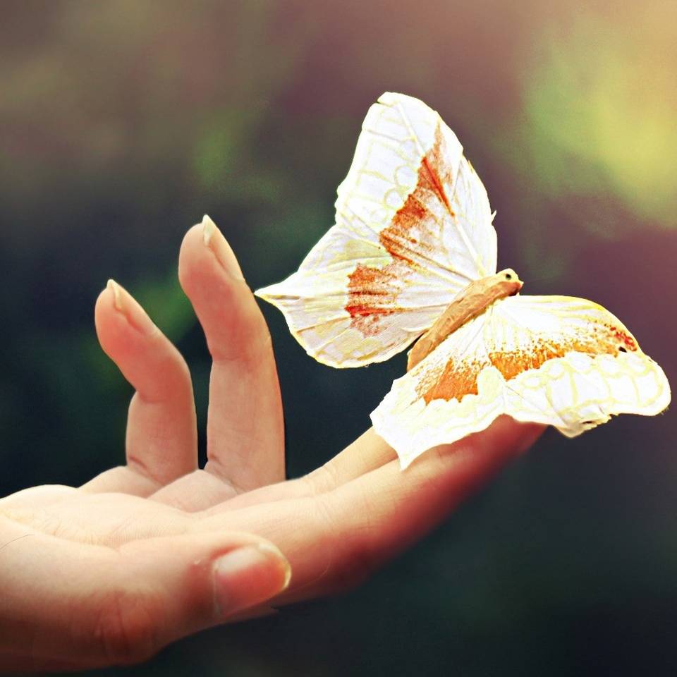 Иконка канала Домохозяйка