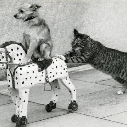 Иконка канала Тестовоешоу2_Тимур 1111111111111111111111111s