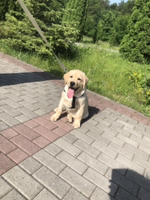 Иконка канала Deemound